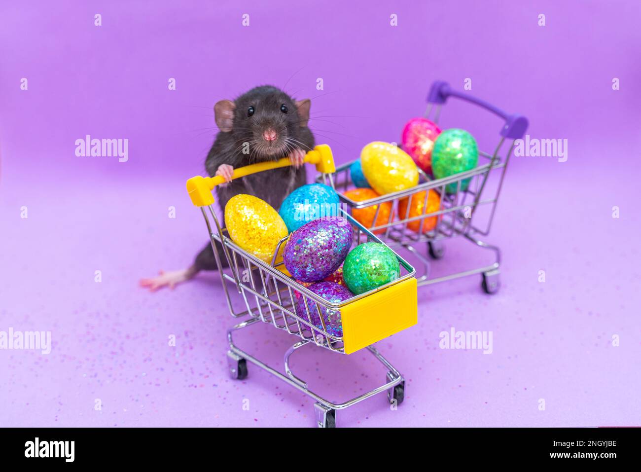 Happy Easter background. Easter eggs are colorful in a shopping basket ...