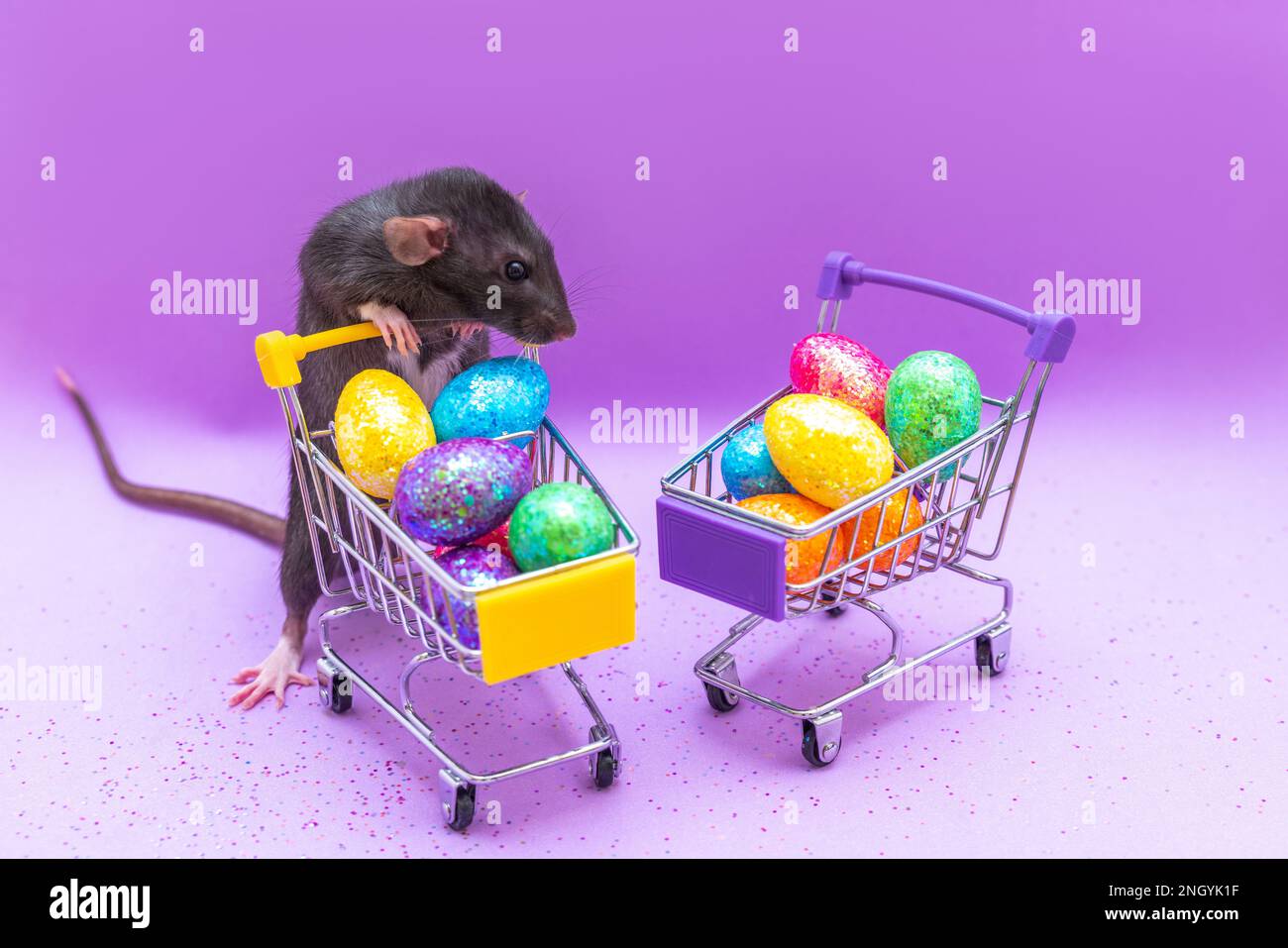 Happy Easter background. Easter eggs are colorful in a shopping basket ...