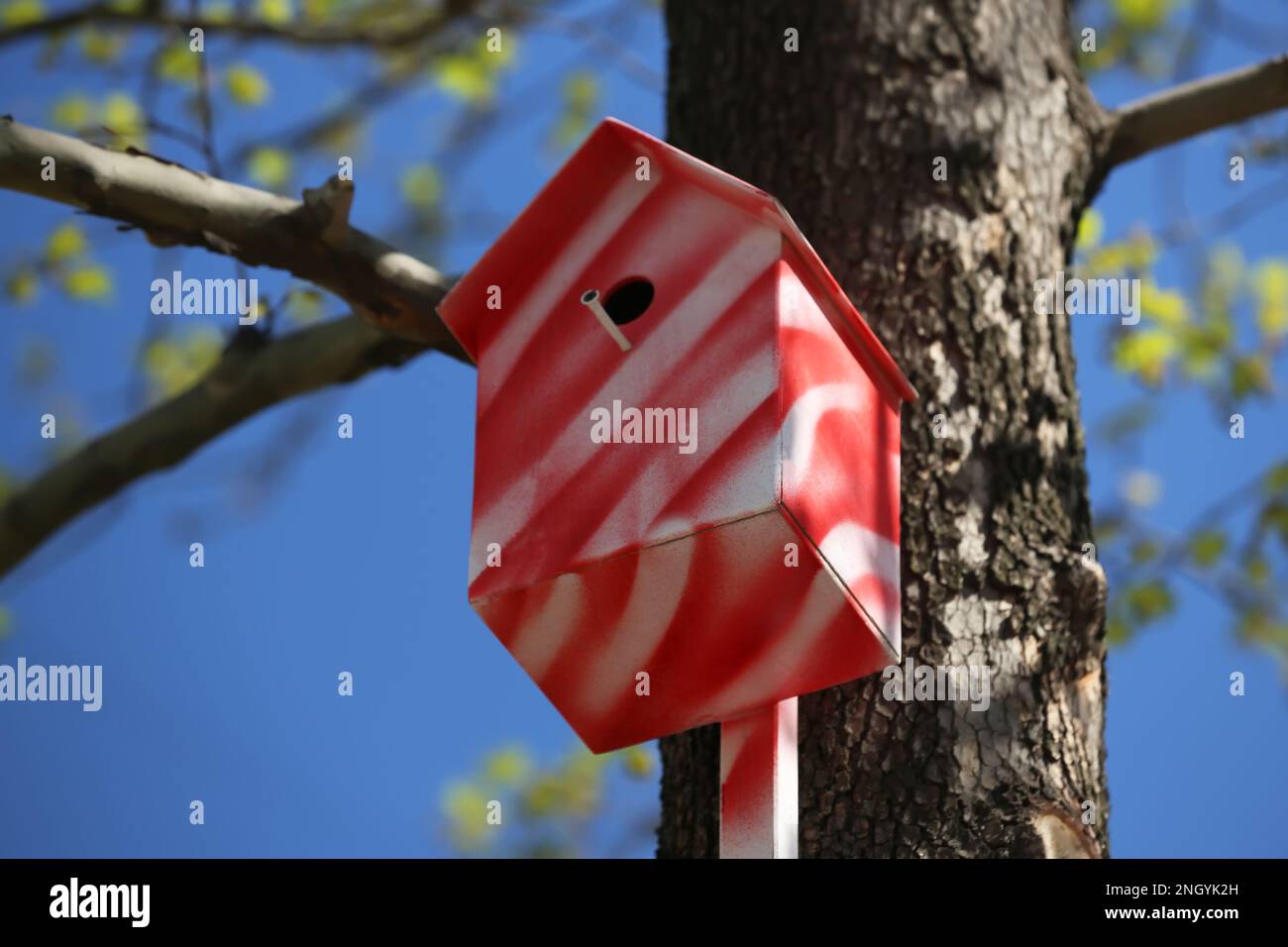 Red and white bird house on tree outdoors Stock Photo - Alamy