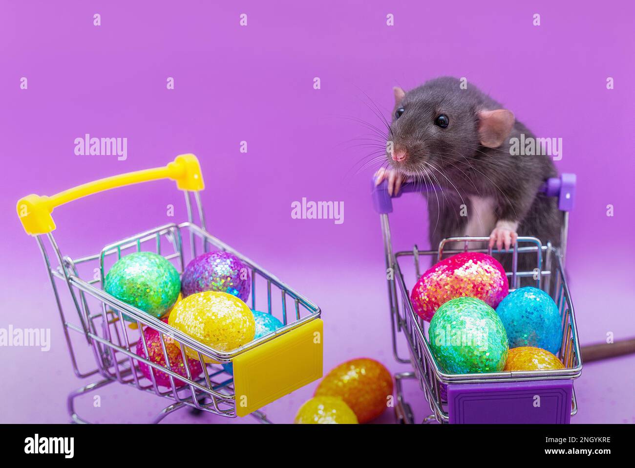 Happy Easter background. Easter eggs are colorful in a shopping basket ...