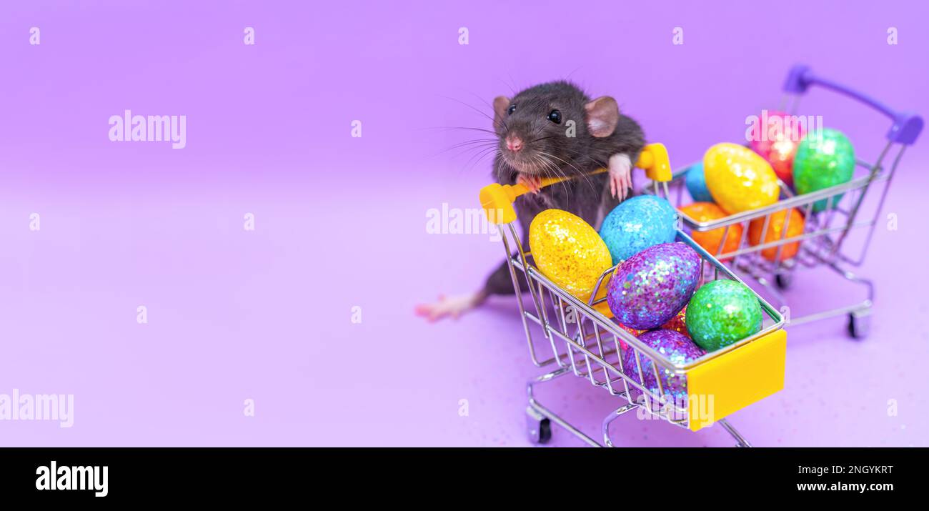 Happy Easter background. Easter eggs are colorful in a shopping basket ...