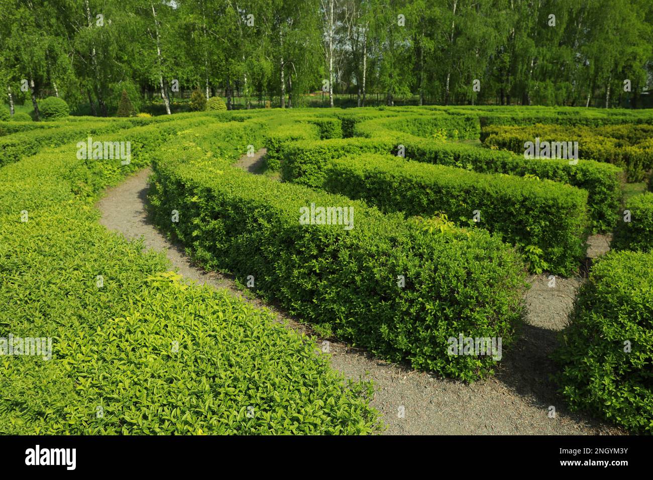 Privet hedge maze hi-res stock photography and images - Alamy