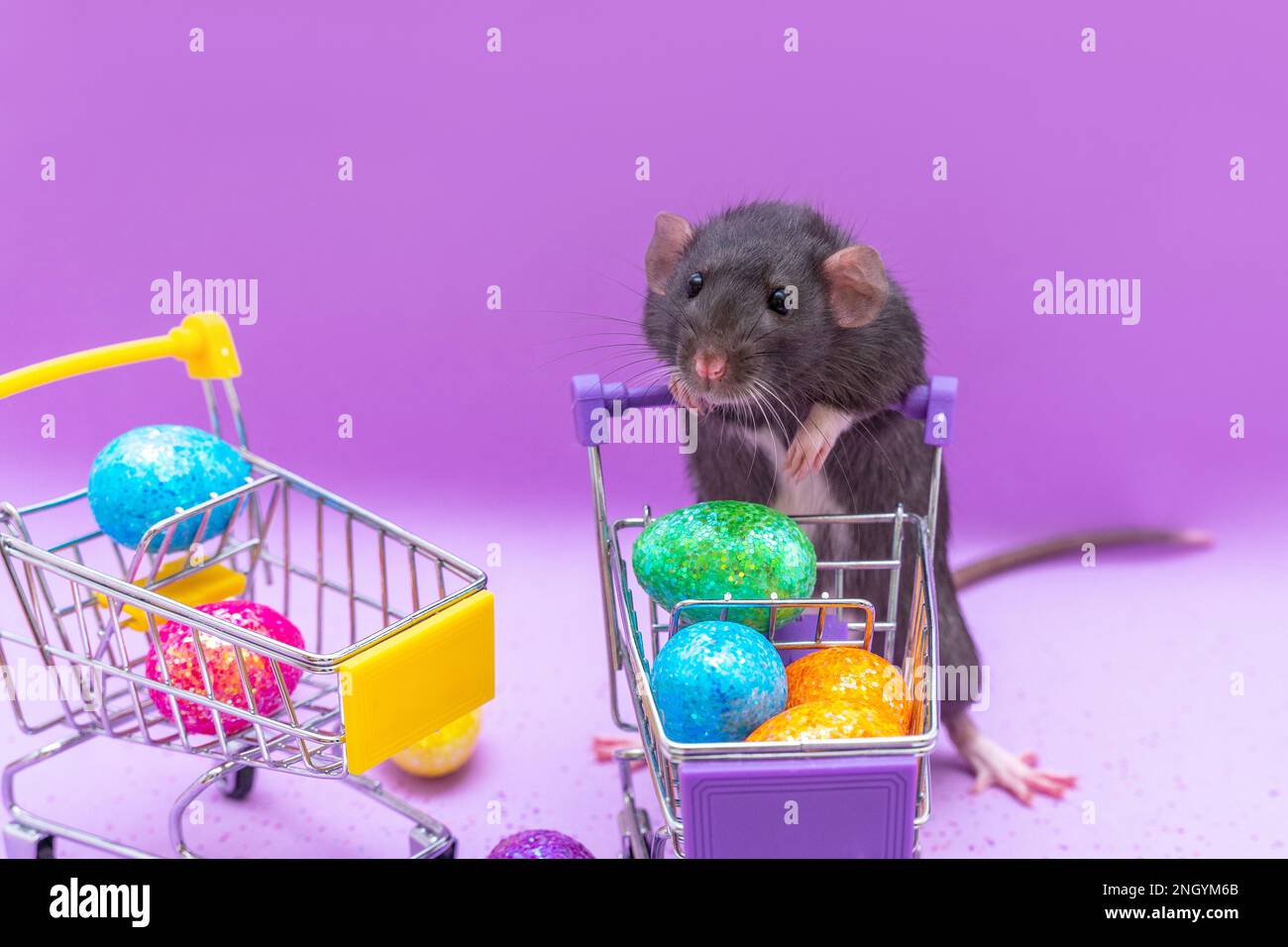 Happy Easter background. Easter eggs are colorful in a shopping basket ...