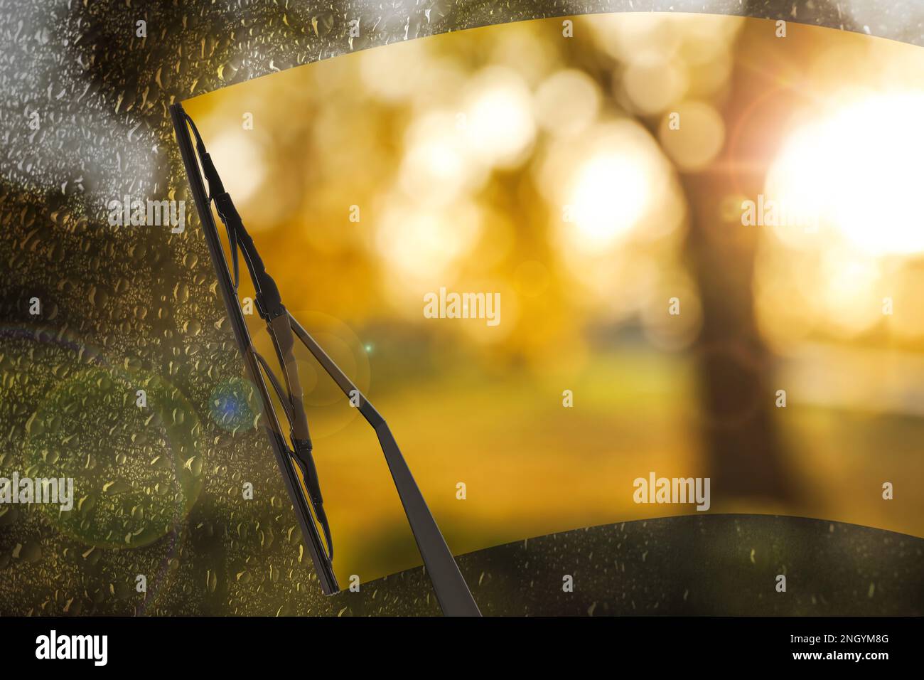 Car windshield wiper cleaning water drops from glass Stock Photo - Alamy