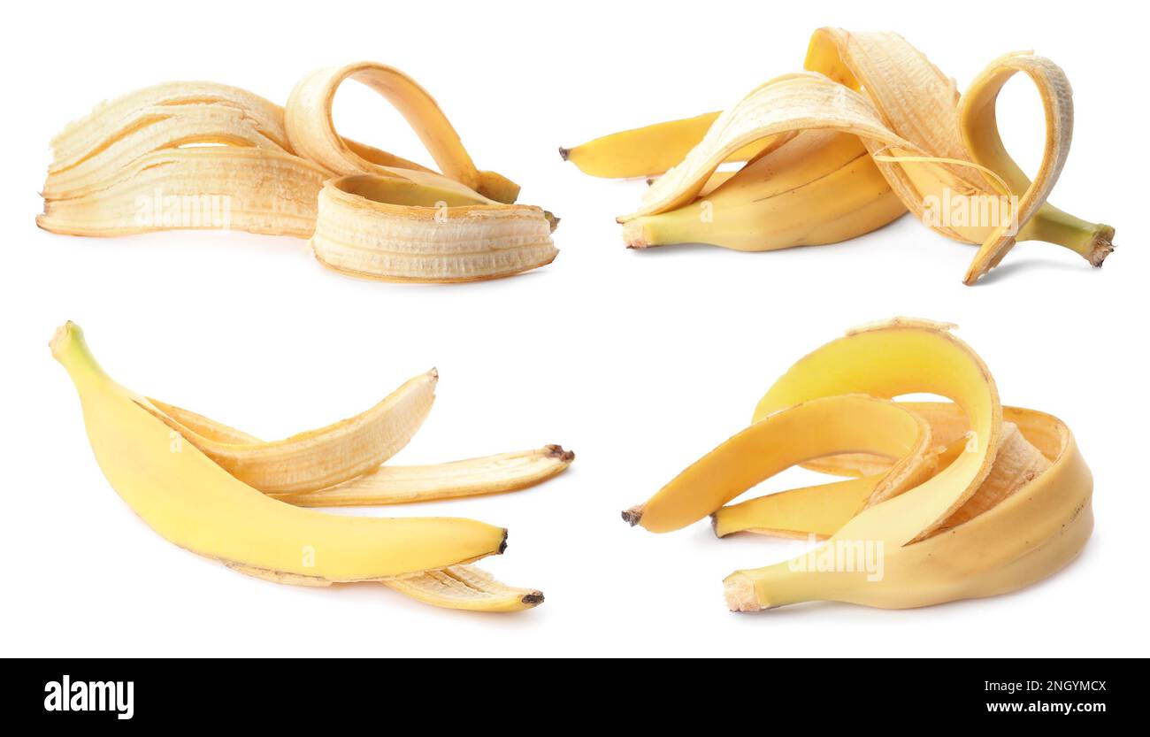 Banana peels on white background, collage. Composting of organic waste ...