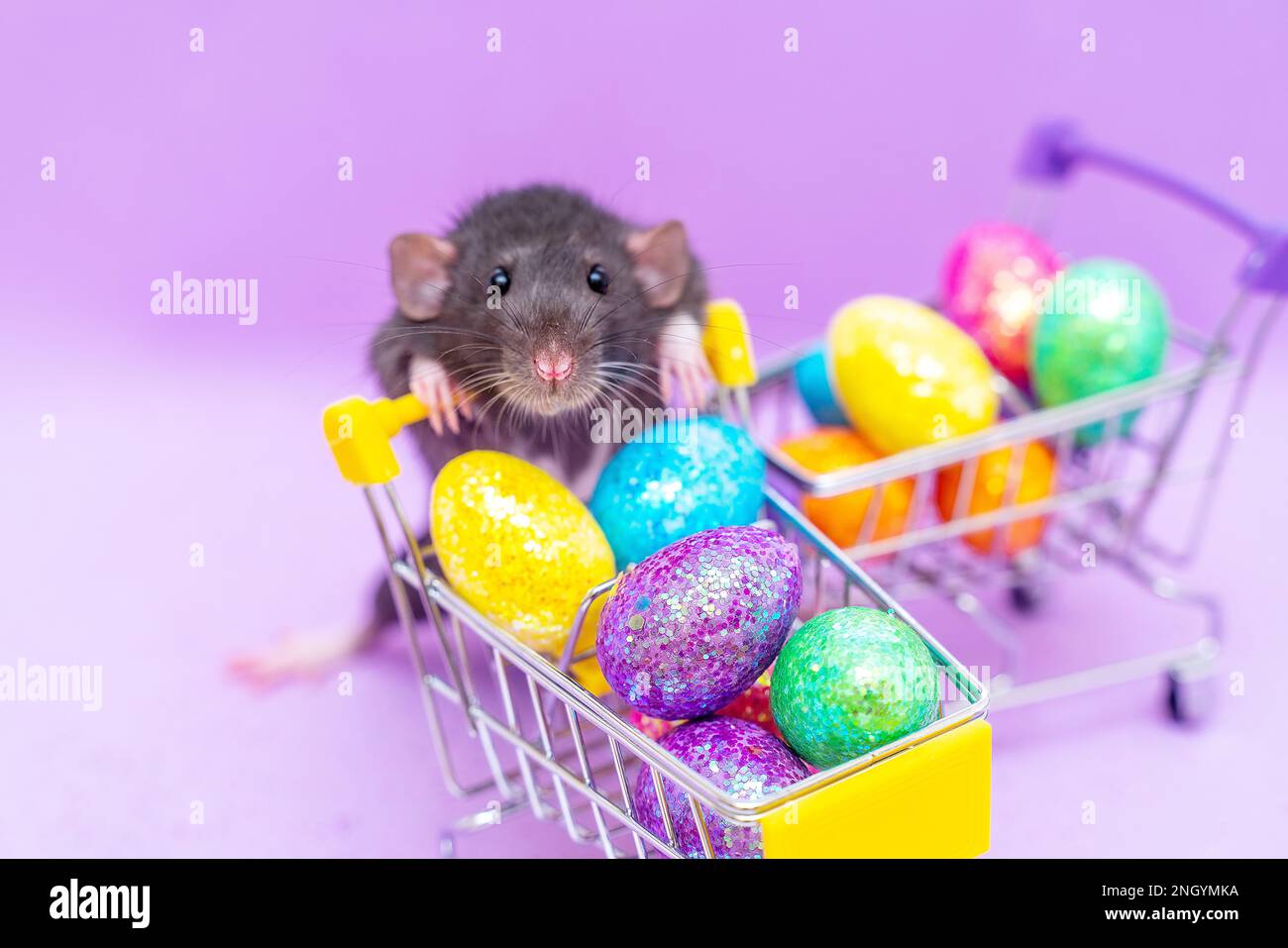 Happy Easter background. Easter eggs are colorful in a shopping basket ...