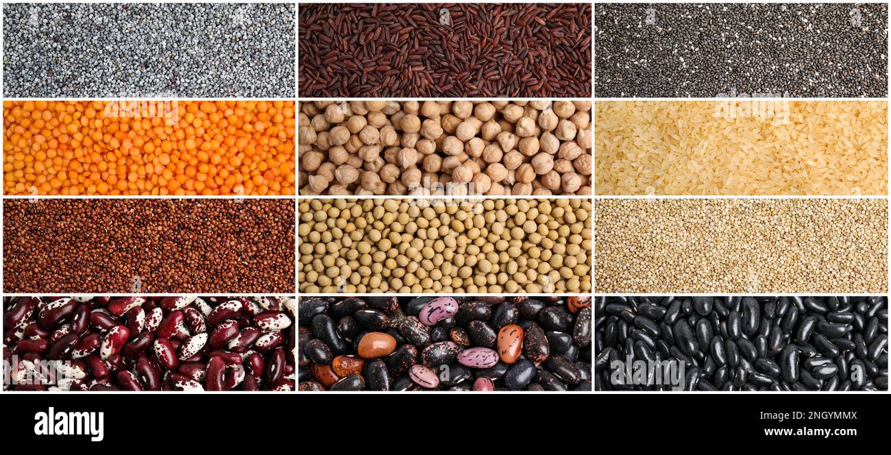 Collage with photos of different legumes and seeds, banner design ...