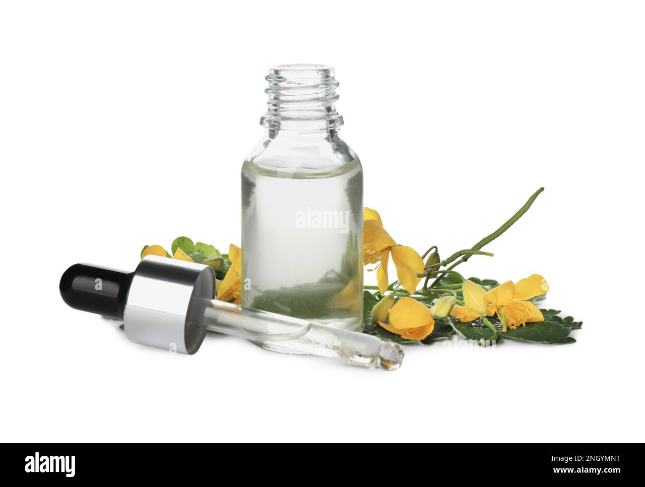 Bottle of essential oil, pipette and celandine on white background ...