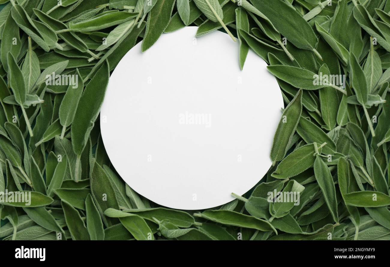 Sage green paper hi-res stock photography and images - Alamy