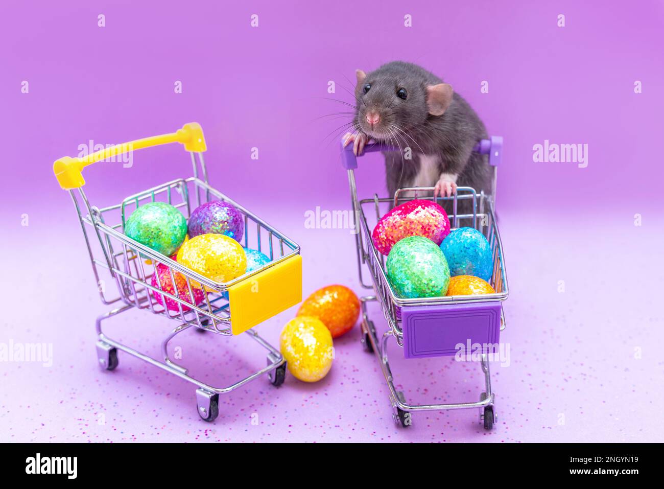 Happy Easter background. Easter eggs are colorful in a shopping basket ...