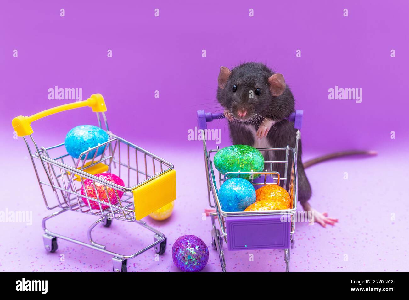 Happy Easter background. Easter eggs are colorful in a shopping basket ...