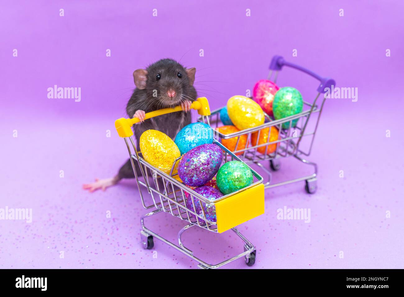 Happy Easter background. Easter eggs are colorful in a shopping basket ...
