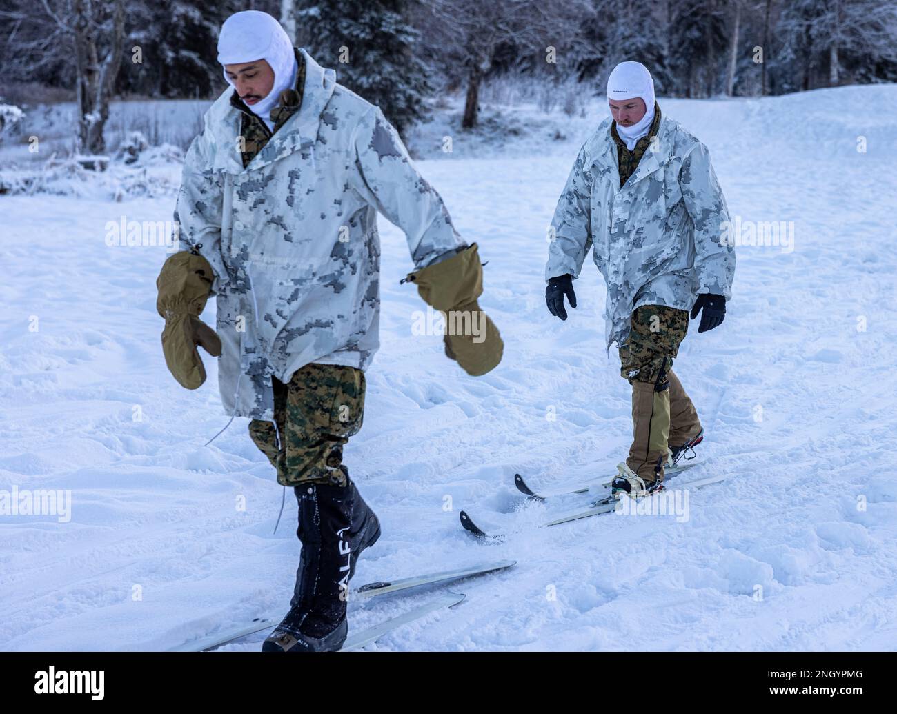 U.S. Marines with 2d Reconnaissance Battalion, 2d Marine Division ...