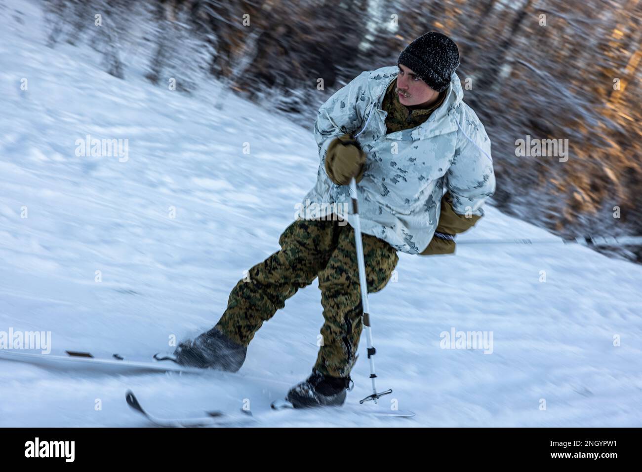 A U.S. Marine with 2d Reconnaissance Battalion, 2d Marine Division ...