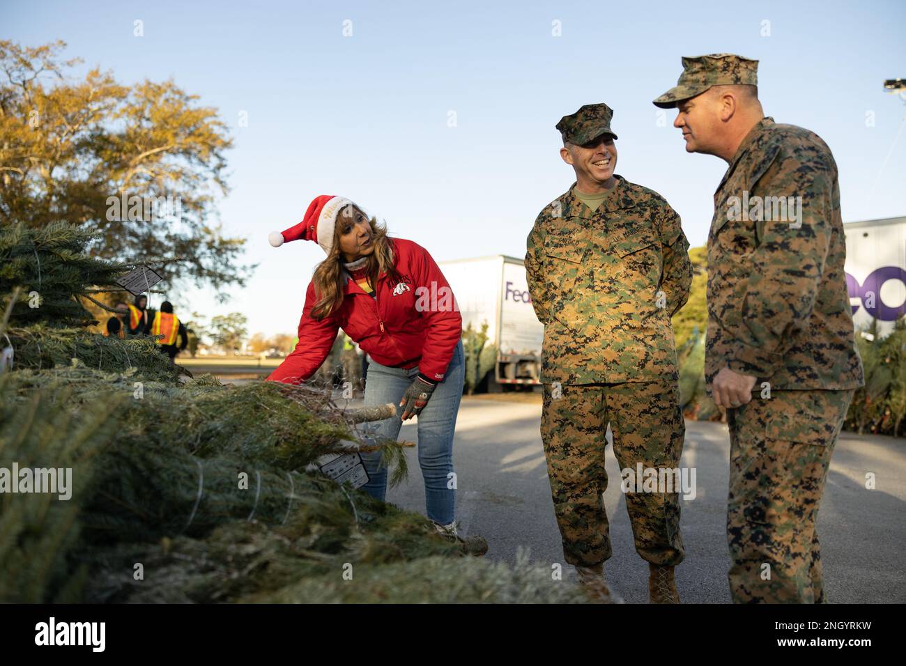 Staff sergeant tree hi-res stock photography and images - Alamy