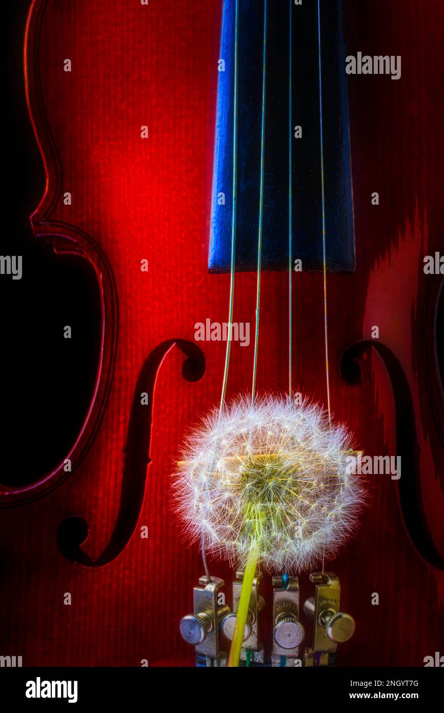 Instrument music puff hi-res stock photography and images - Alamy