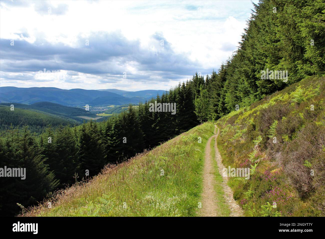 Rural Property Tweed Valley at Jennifer Johansen blog