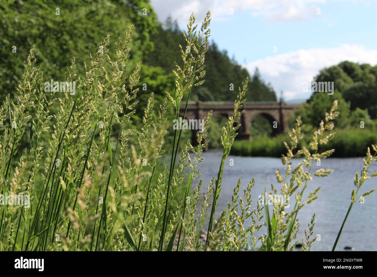 Neidpath viaduct hi-res stock photography and images - Alamy