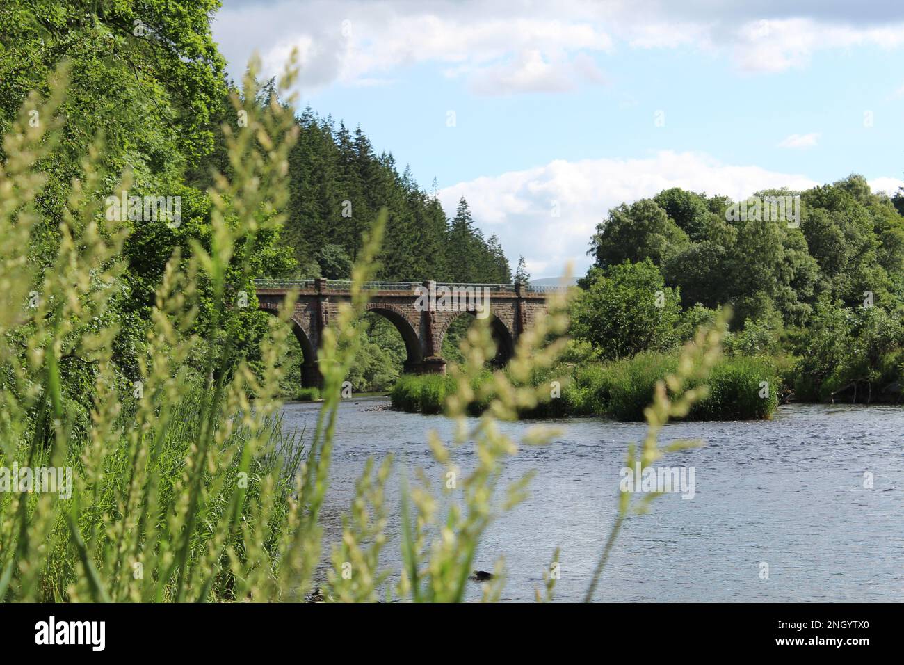 View of the Neidpath Viaduct over the River Tweed from the banks of the ...