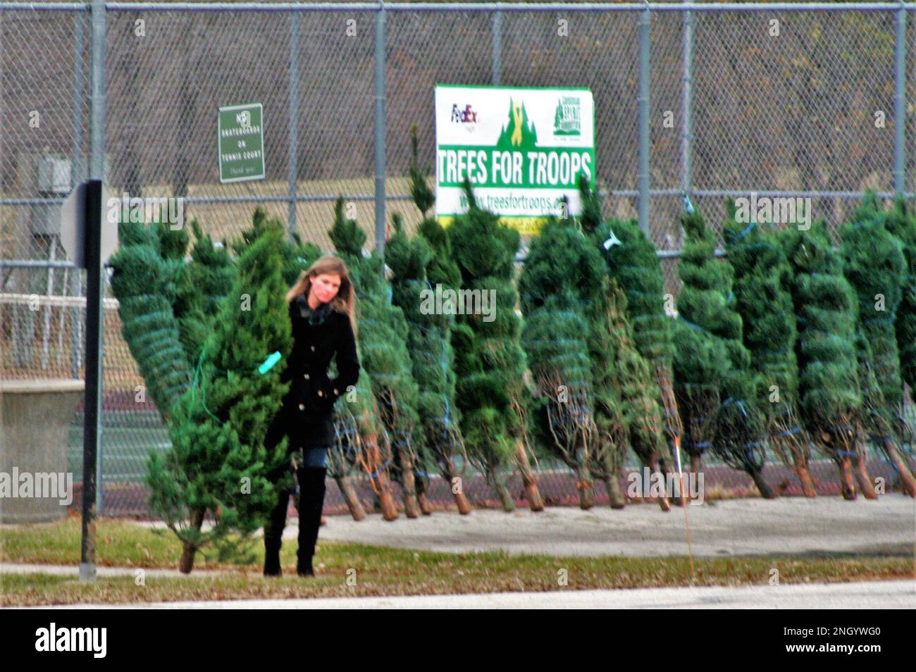 People look over Christmas trees to take home after a Federal Express ...