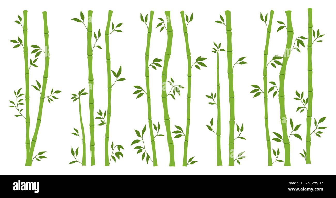 Bamboo green stem bundle and leaf borders set. Exotic decoration ...