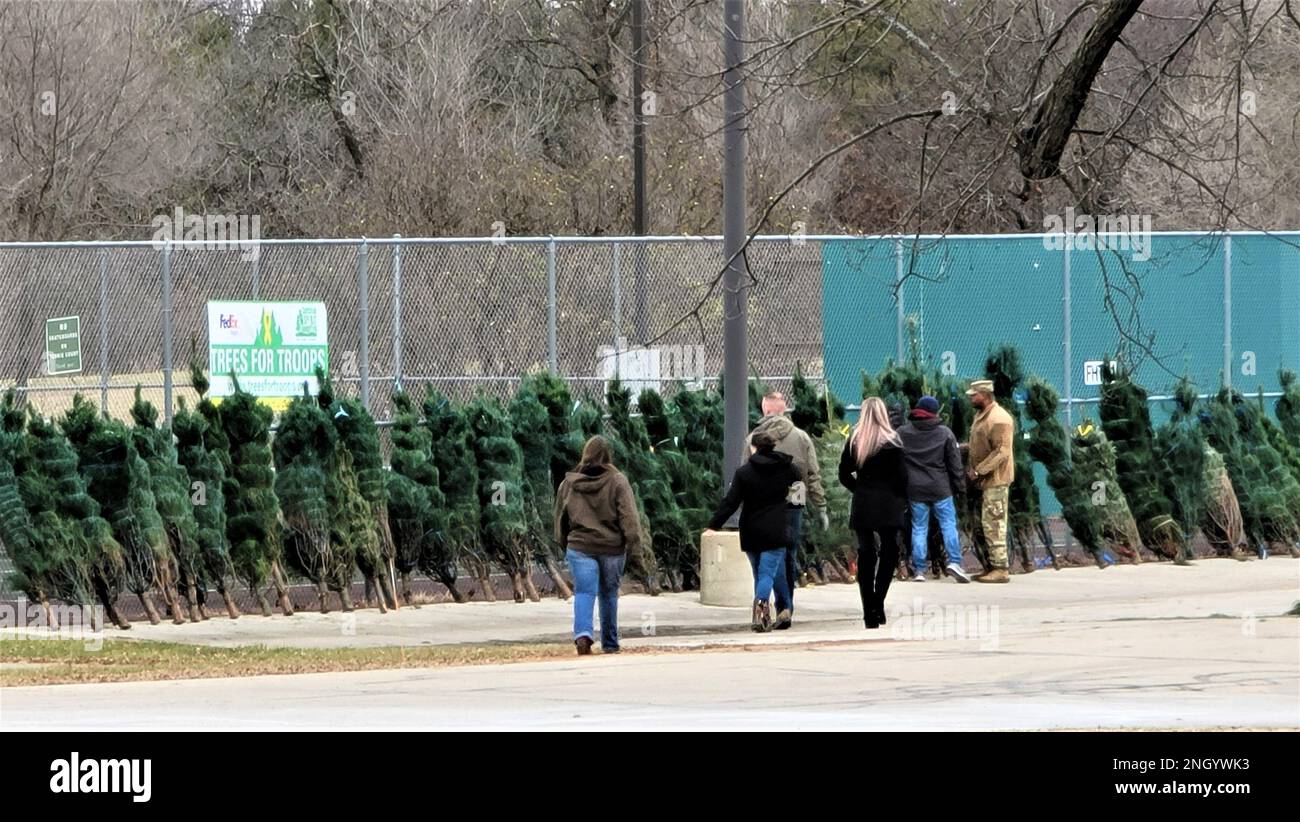 People look over Christmas trees to take home after a Federal Express ...