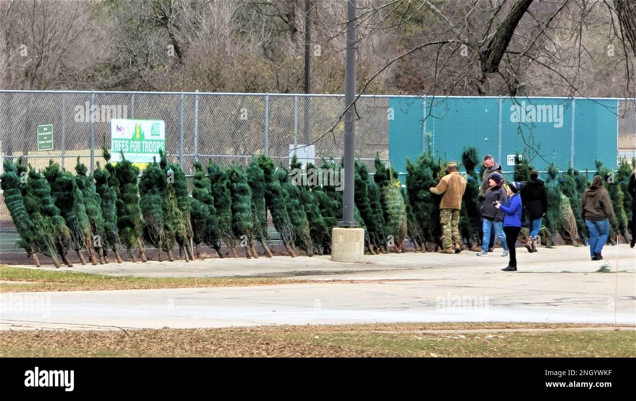 People look over Christmas trees to take home after a Federal Express ...