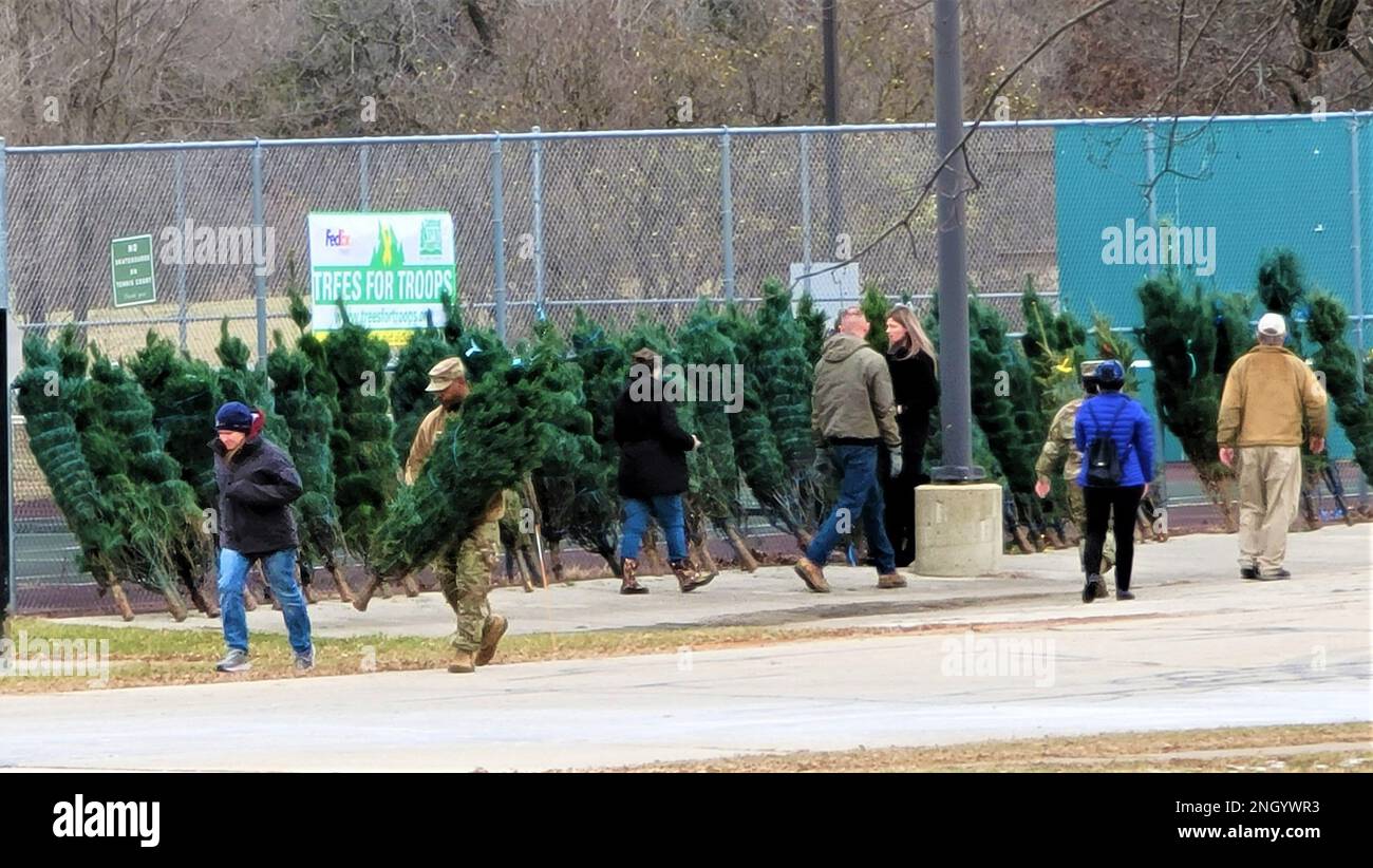 People look over Christmas trees to take home after a Federal Express ...