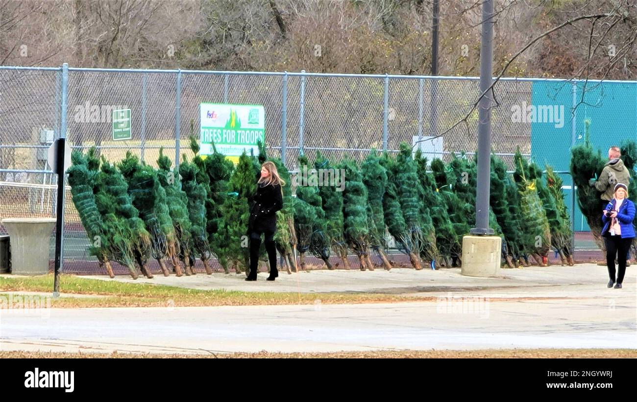 People look over Christmas trees to take home after a Federal Express ...