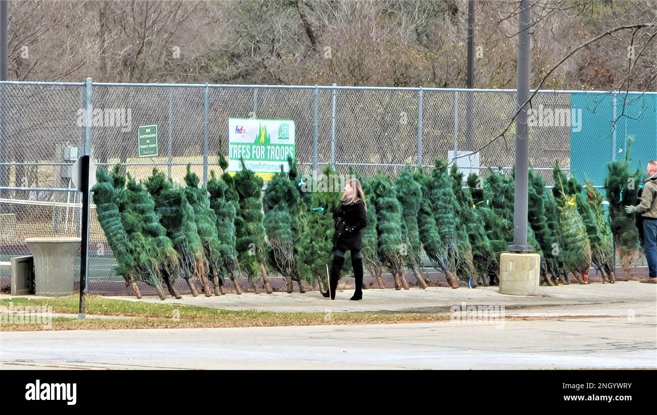 People look over Christmas trees to take home after a Federal Express ...