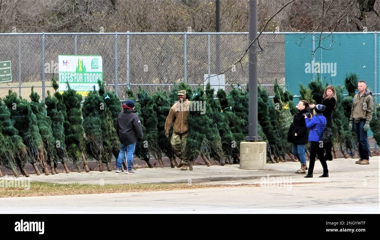 People look over Christmas trees to take home after a Federal Express ...