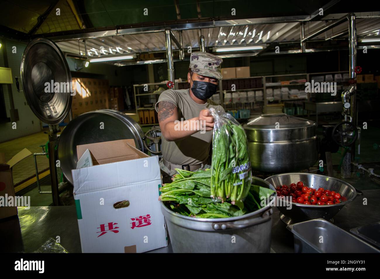 Spc. Rutchelle Auguste,35th Combat Sustainment Support Battalion ...