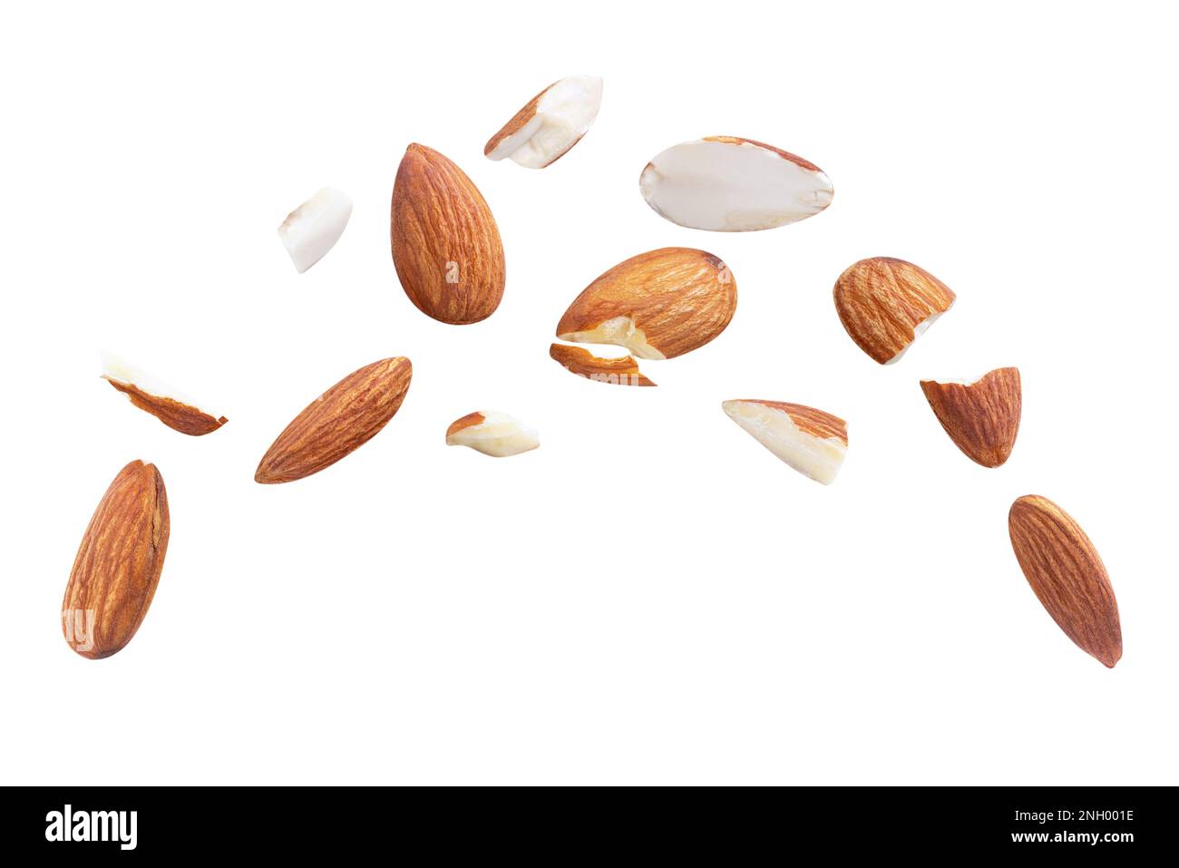 almond fly Closeup fly , isolated on the white background Full depth of ...