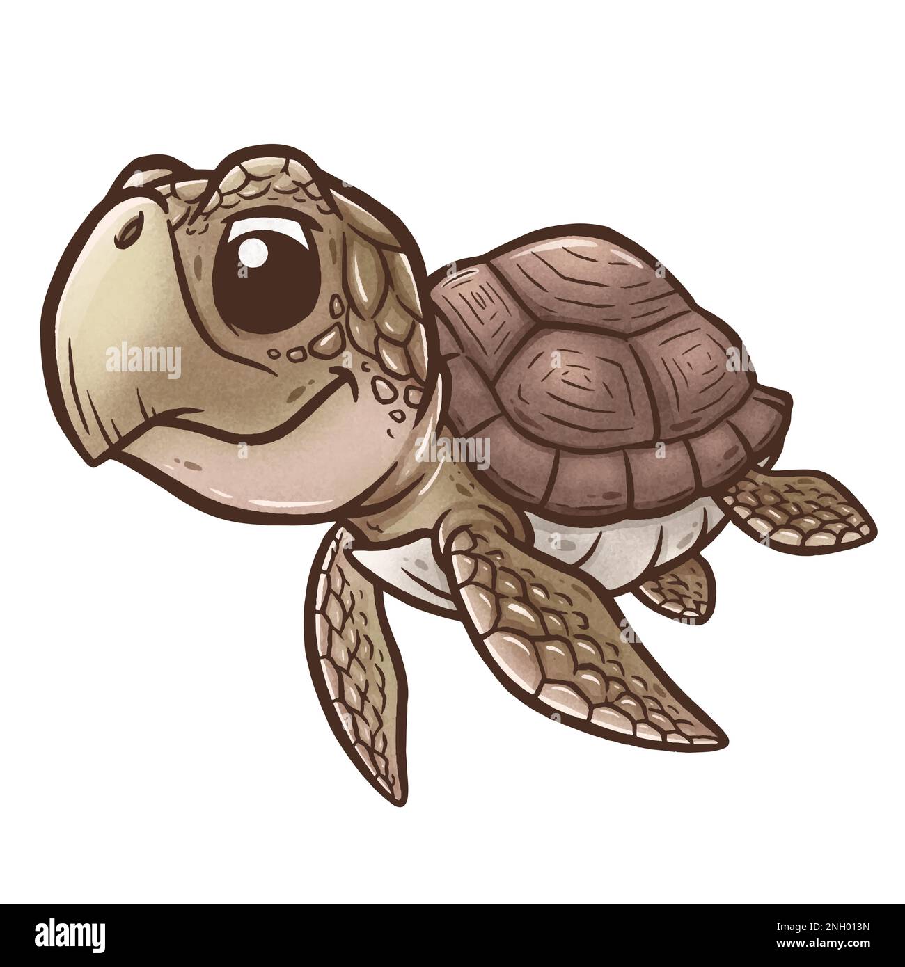 How To Draw A Cute Baby Sea Turtle