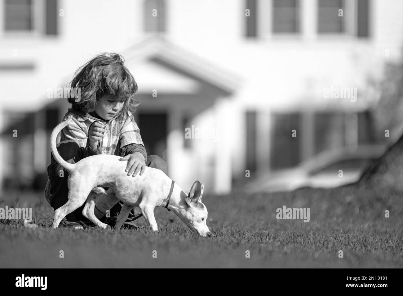Child owner caressing gently her dog. Happy kid and puppy hugs her with ...