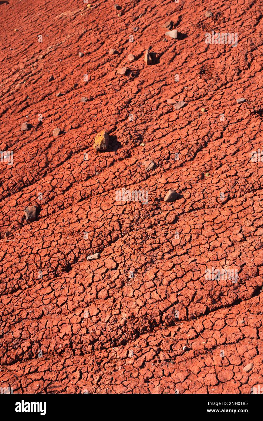 A close-up of the red soil of the Painted Hills in Oregon Stock Photo ...