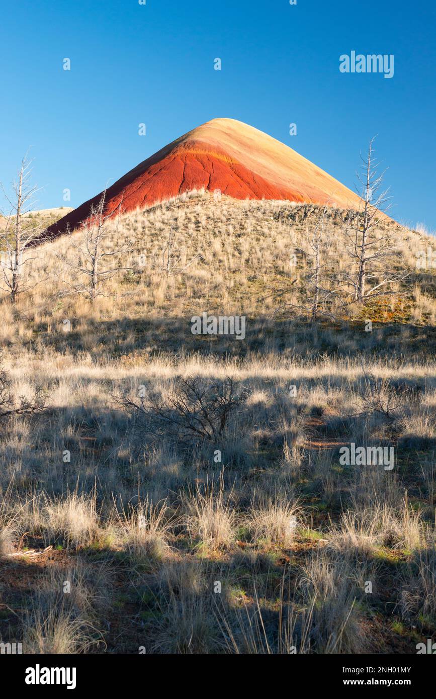 The Painted Hills of John Day Fossil Bed National Monument, Oregon ...