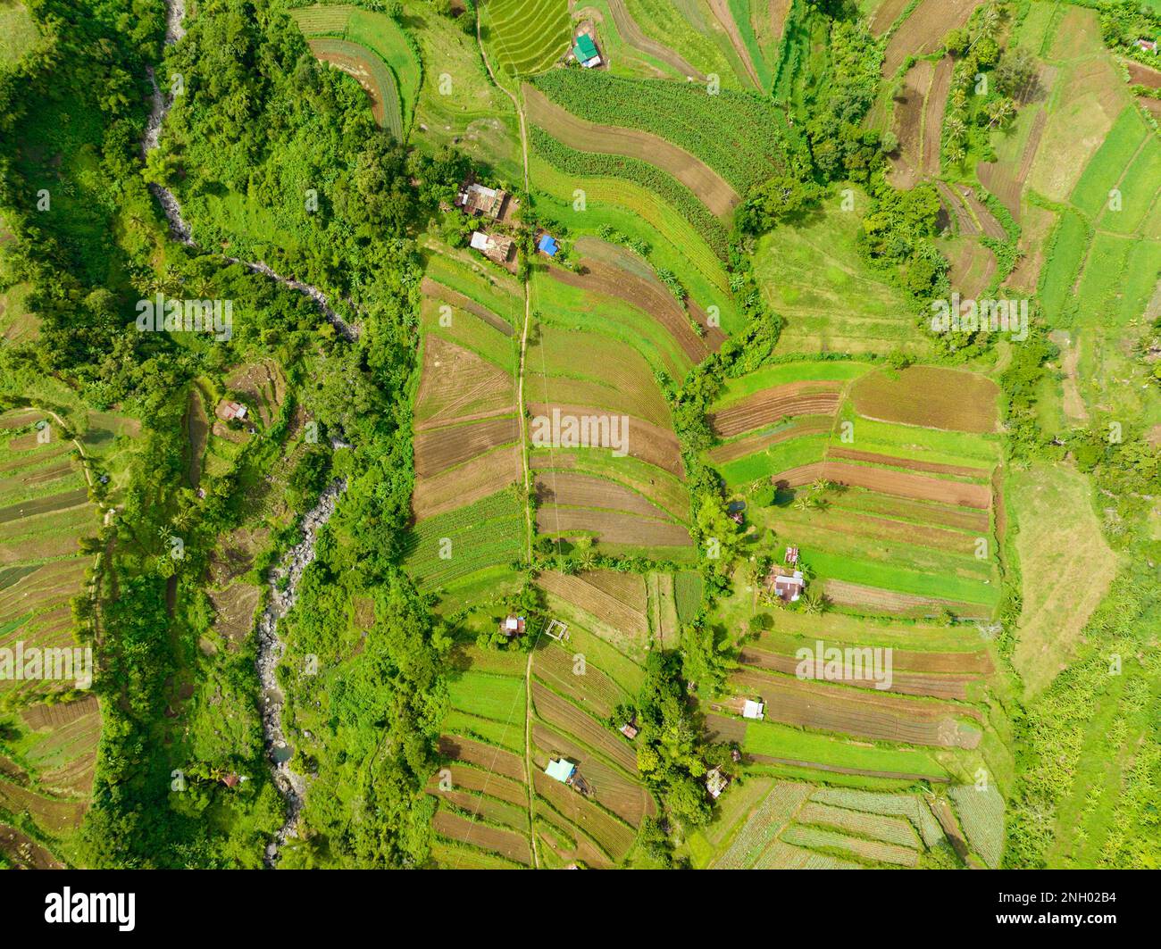 Terraces with farmland on the slopes of the hills in the highlands ...