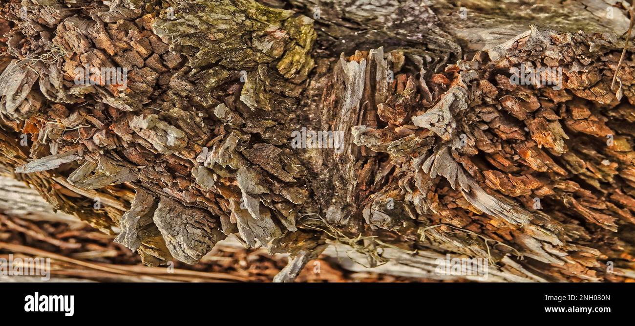 Monterey spyglass hill hi-res stock photography and images - Alamy