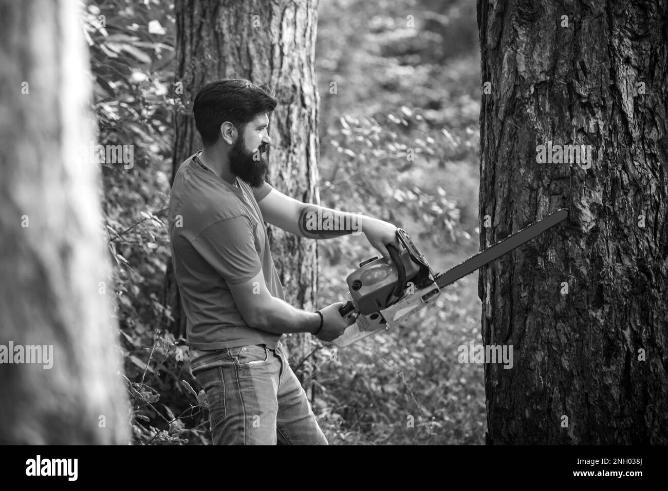 Lumberjack worker with chainsaw in the forest. Lumberjack in the woods ...