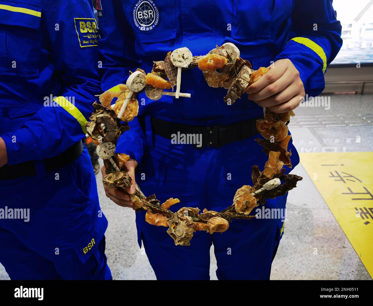 Rescuers of the Nanjing Blue Sky Rescue Team arrive at Nanjing Lukou ...