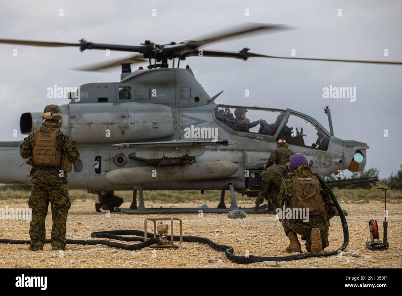 U.S. Marines with Marine Medium Tiltrotor Squadron 265 (Rein.), 31st ...