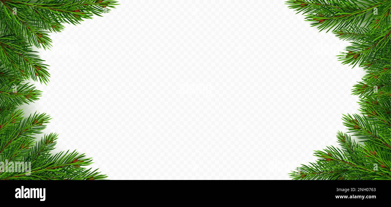 Pine tree branch border realistic vector illustration. Fir twigs with ...