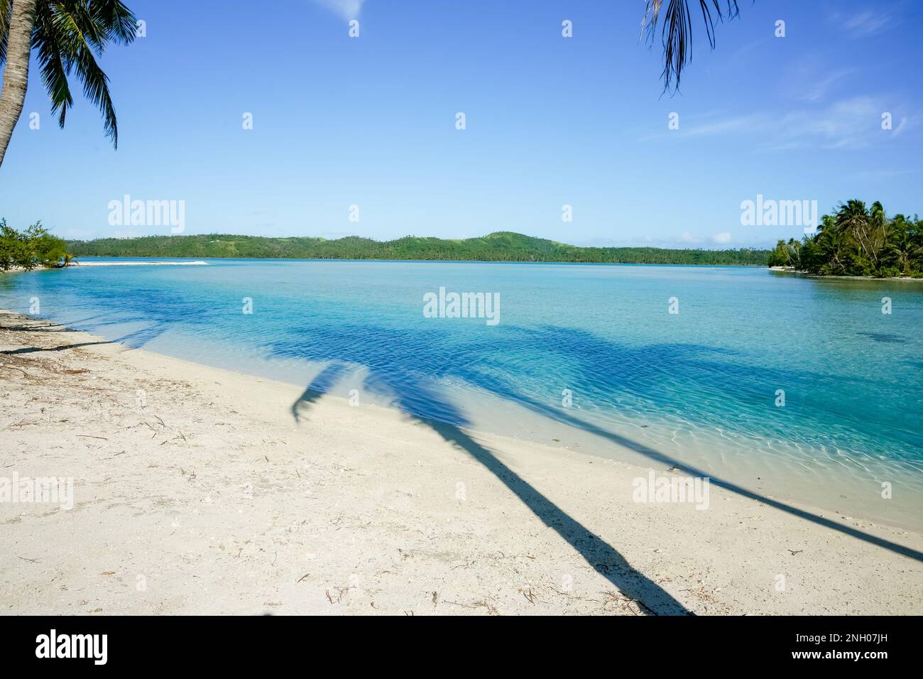 Long shadows of coconut palms across white coral tropical beach into ...