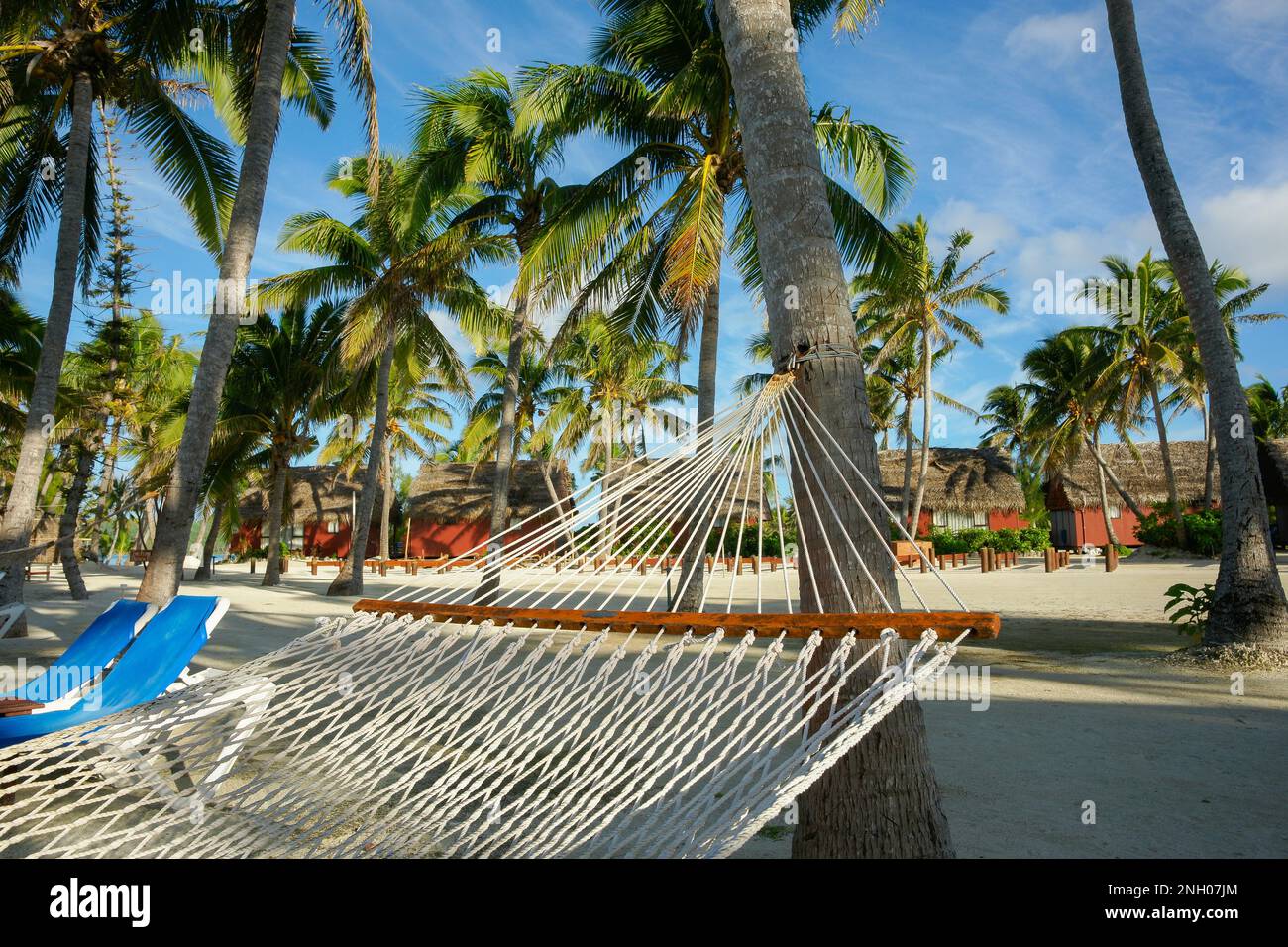 White string hammock strung between coconut palms on idyllic tropical ...