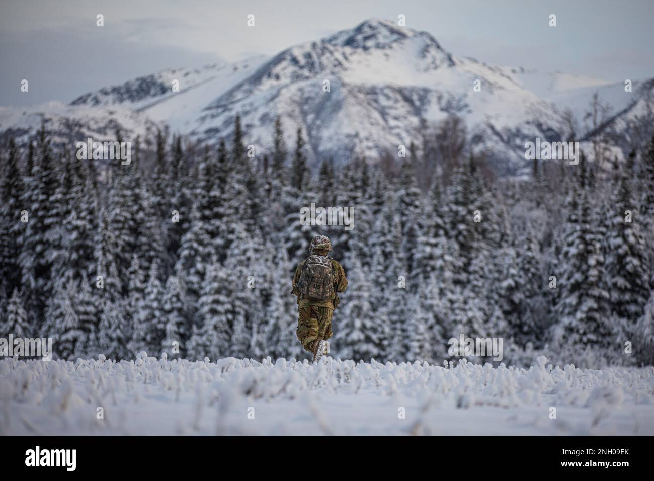 Bounding overwatch hi-res stock photography and images - Alamy