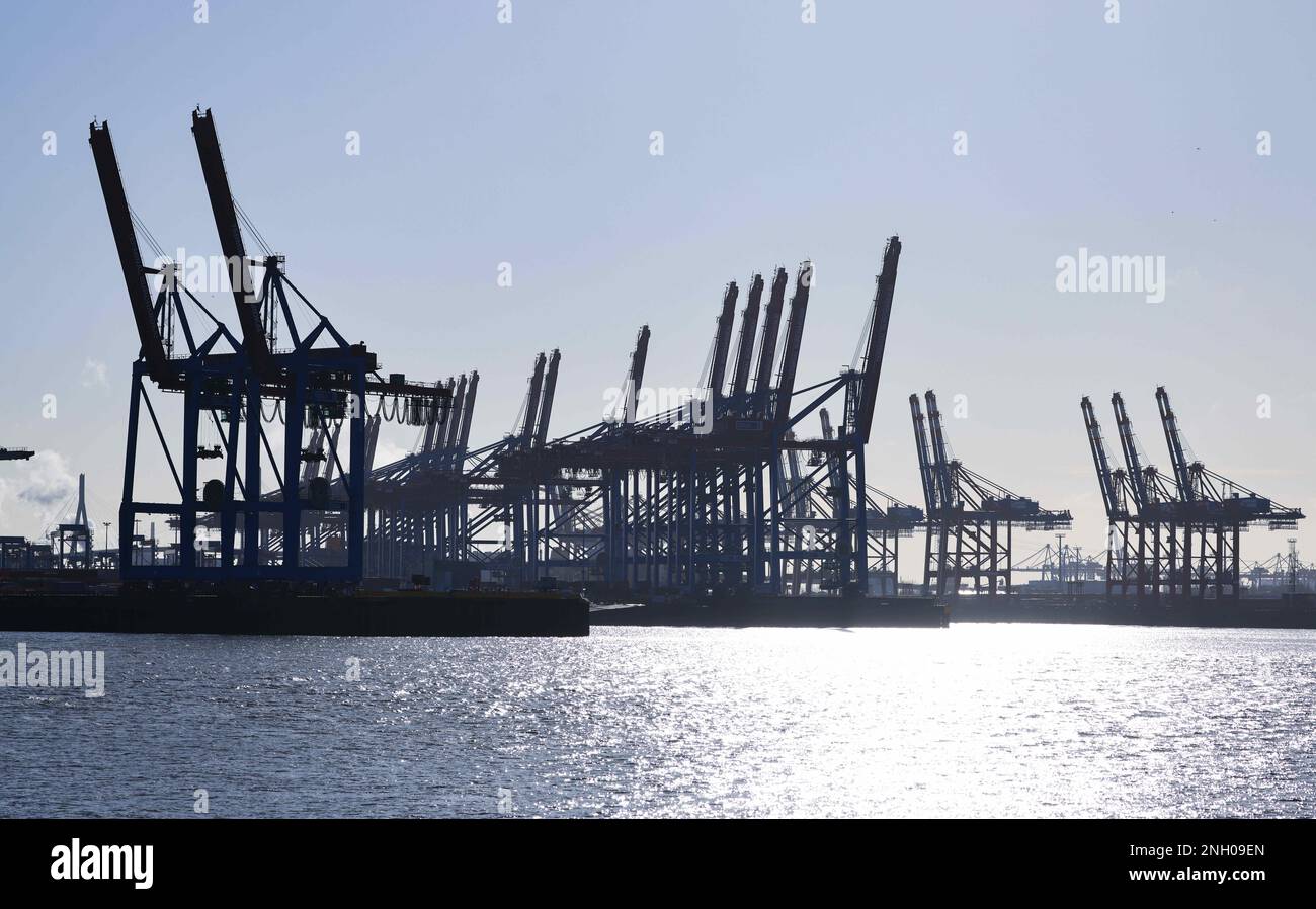 Hamburg, Germany. 19th Feb, 2023. Container gantry cranes at the ...
