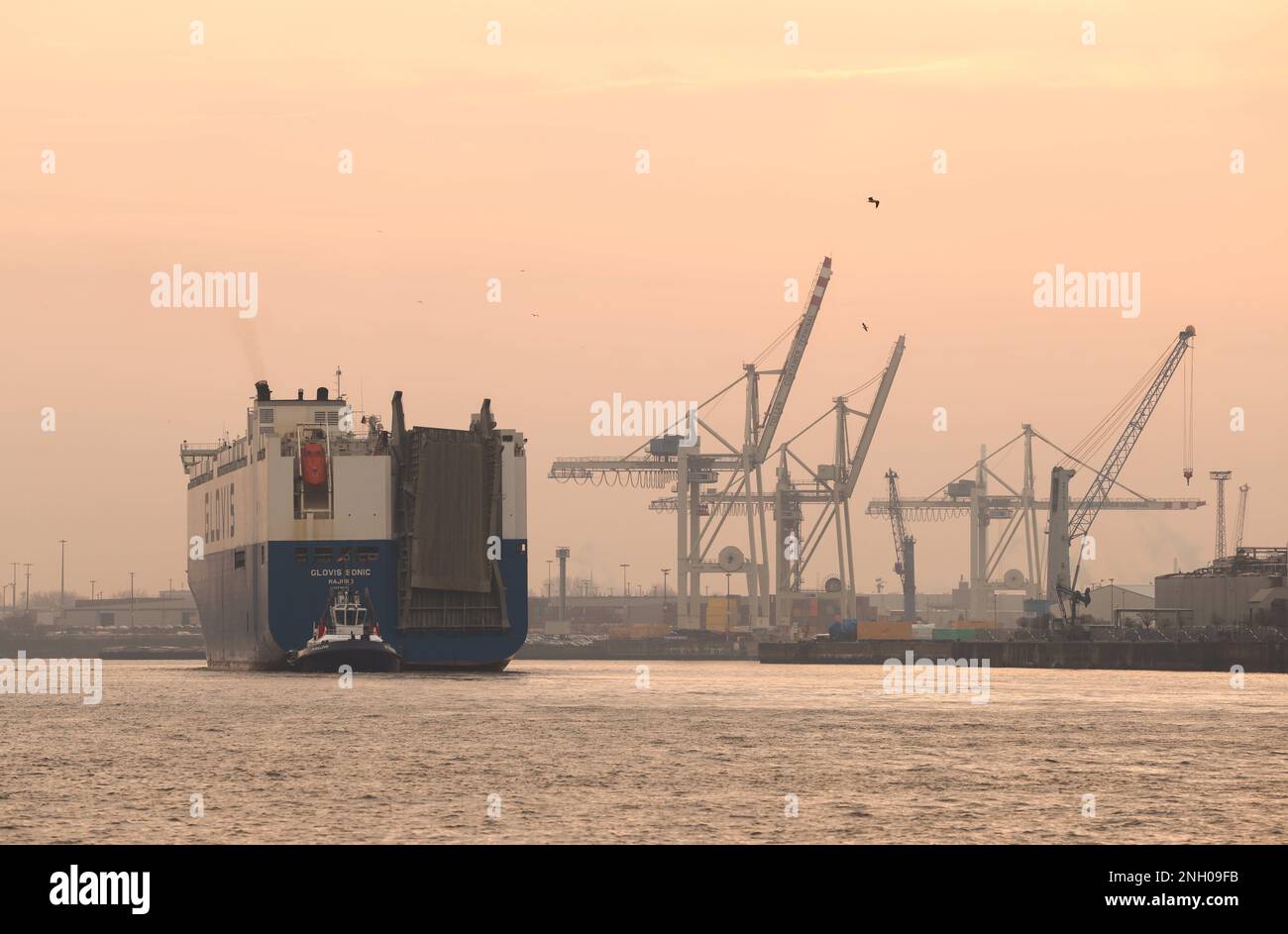 Hamburg, Germany. 16th Feb, 2023. The car carrier "Glovis Sonic" enters ...