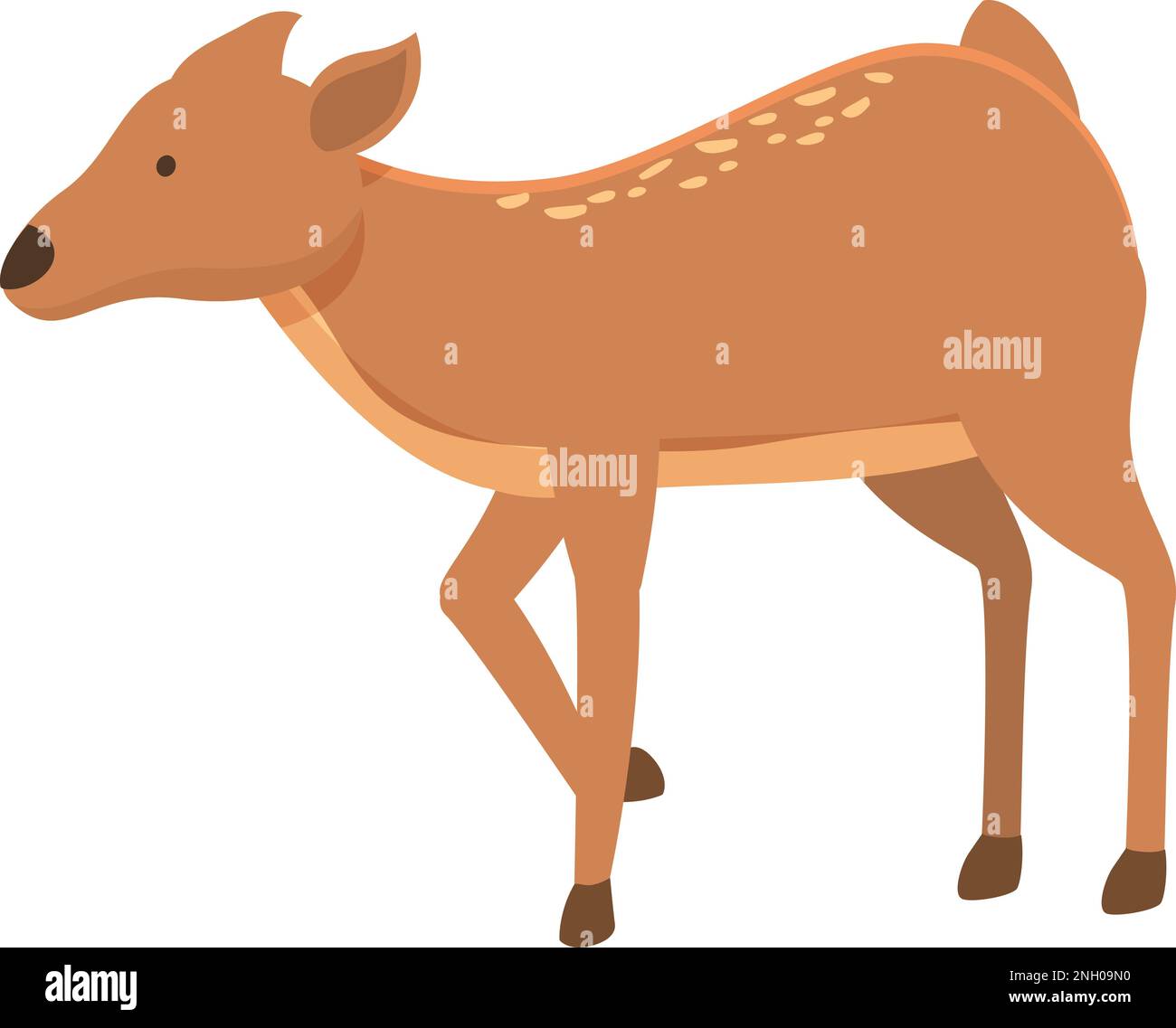 Nature doe icon cartoon vector. Forest animal. Fawn tail Stock Vector Image & Art - Alamy