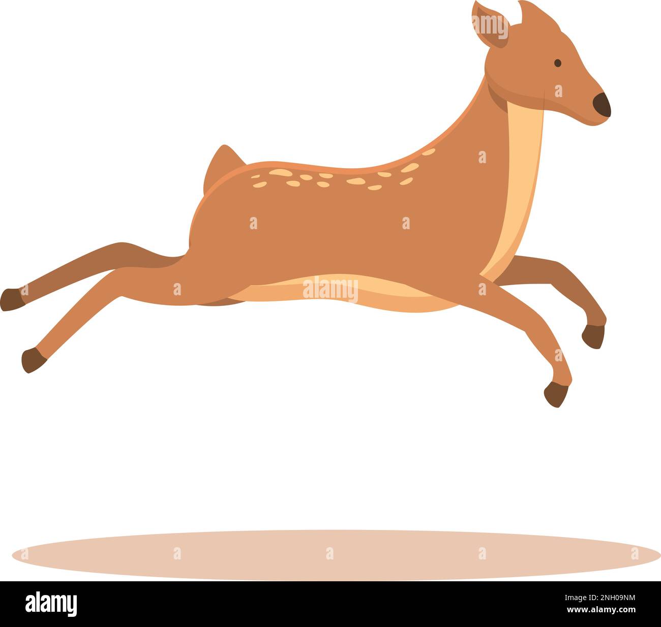 Deer female with fawn Cut Out Stock Images & Pictures - Alamy